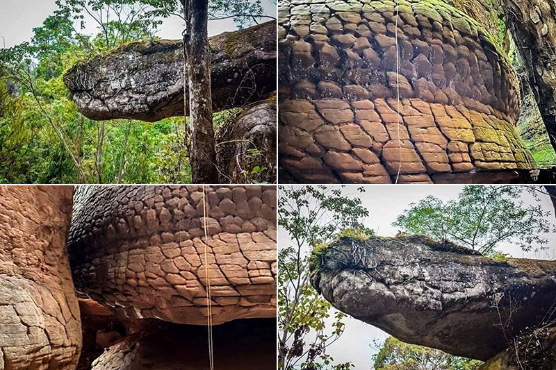 Prehistoric Snake - Eyecon - Optical Illusions