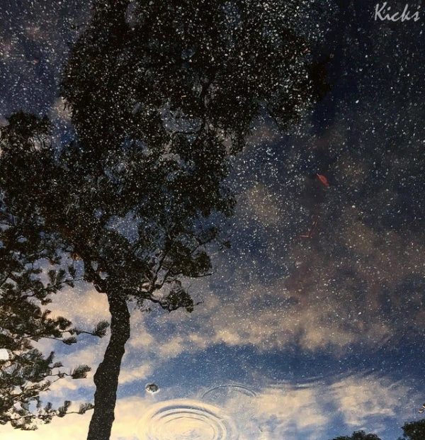 A Starry Night Sky - Eyecon - Optical Illusions