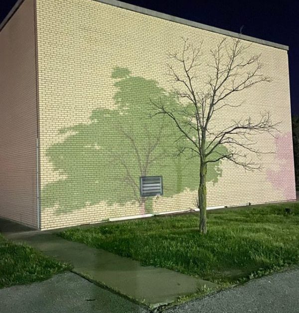 Tree Mural - Eyecon - Optical Illusions